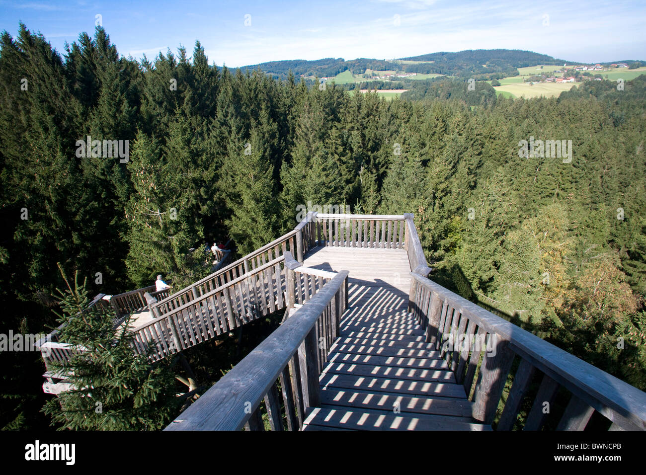 Austria Europe Canopy walk Kopfing im Innkreis trees staircase wood ...