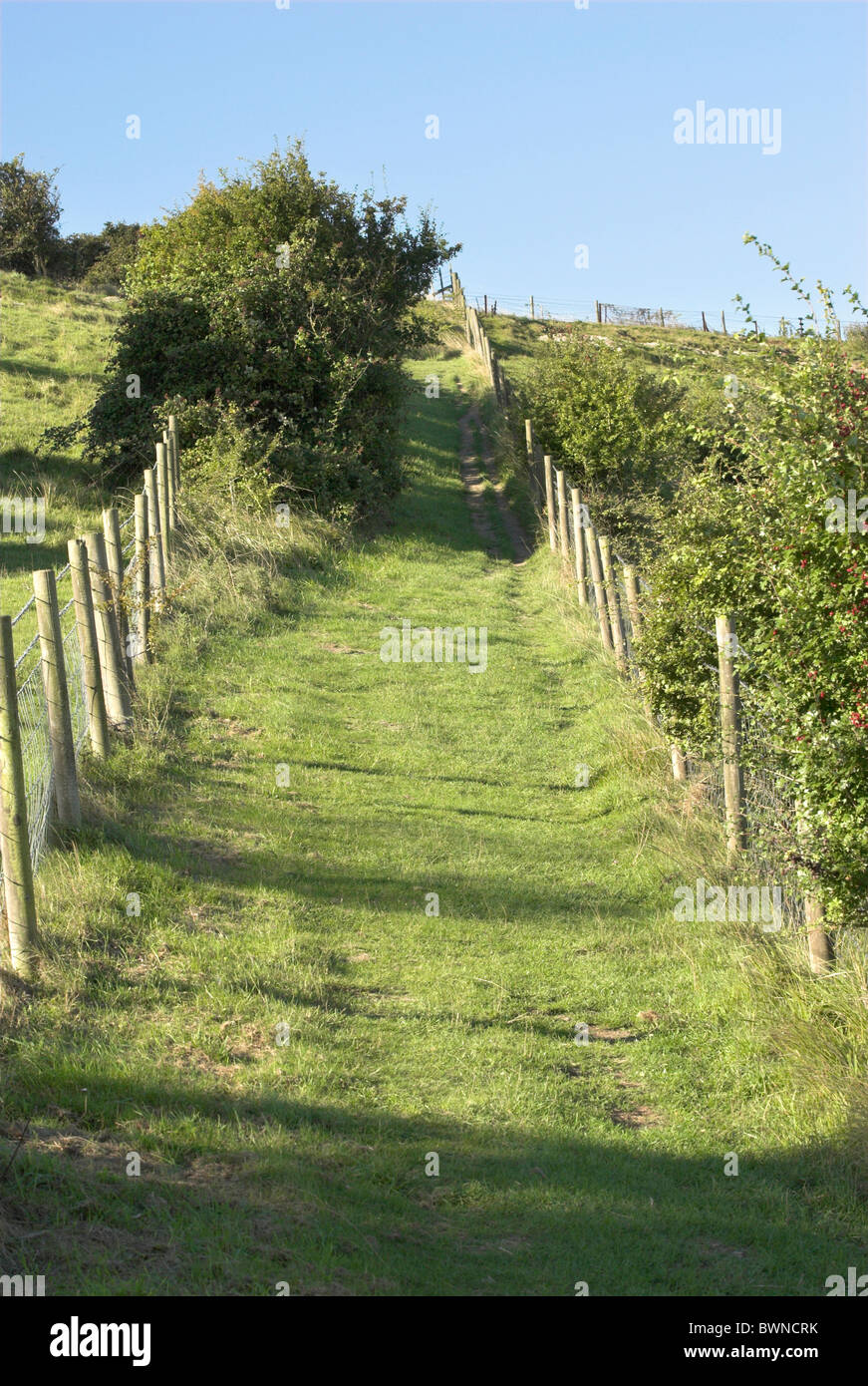 Looking up a steep climb to Lancing Hill from Cow Bottom - South Downs ...