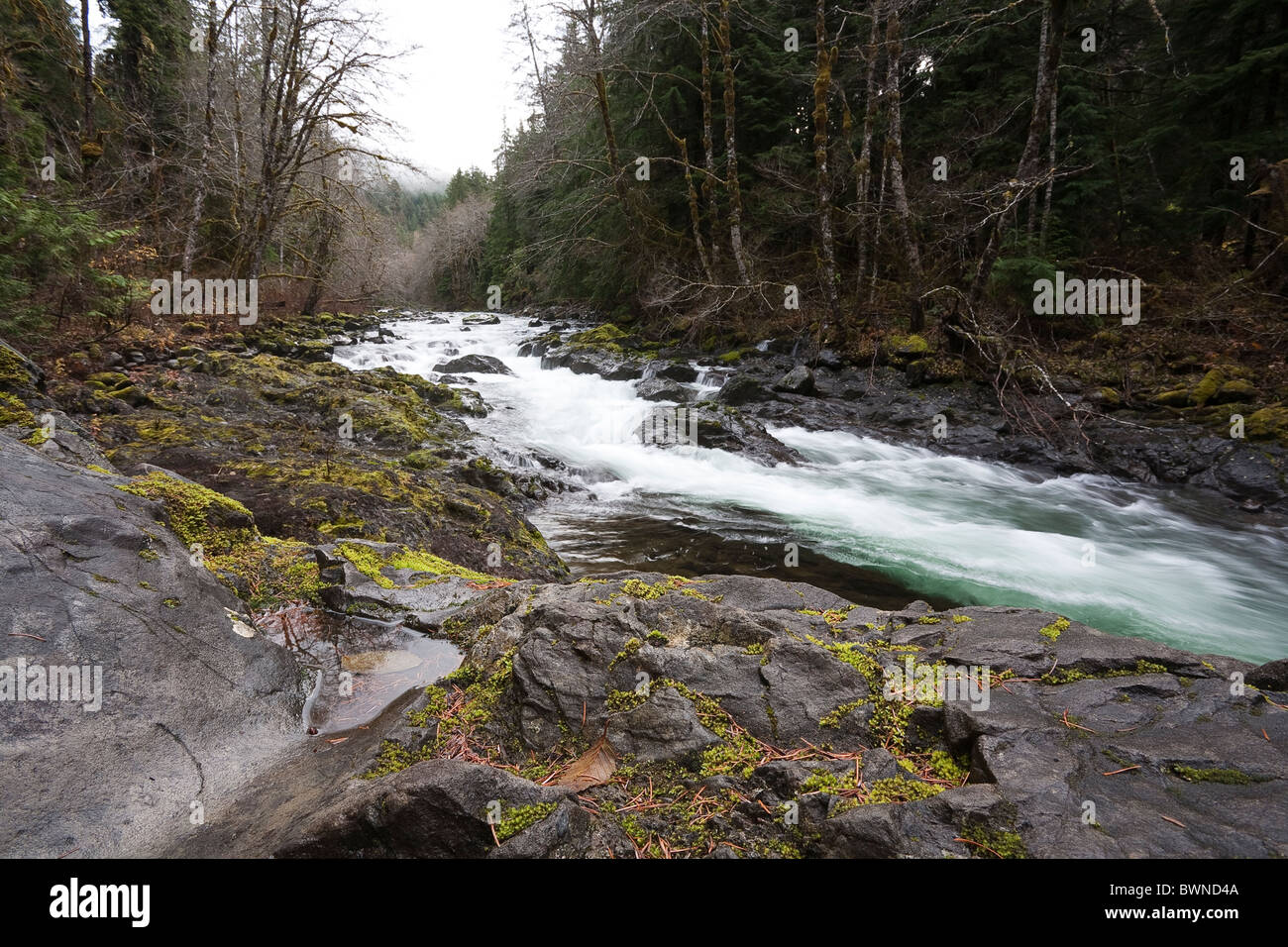 Sol Duc River Salmon Cascades, Olympic National Park - Washington Stock ...