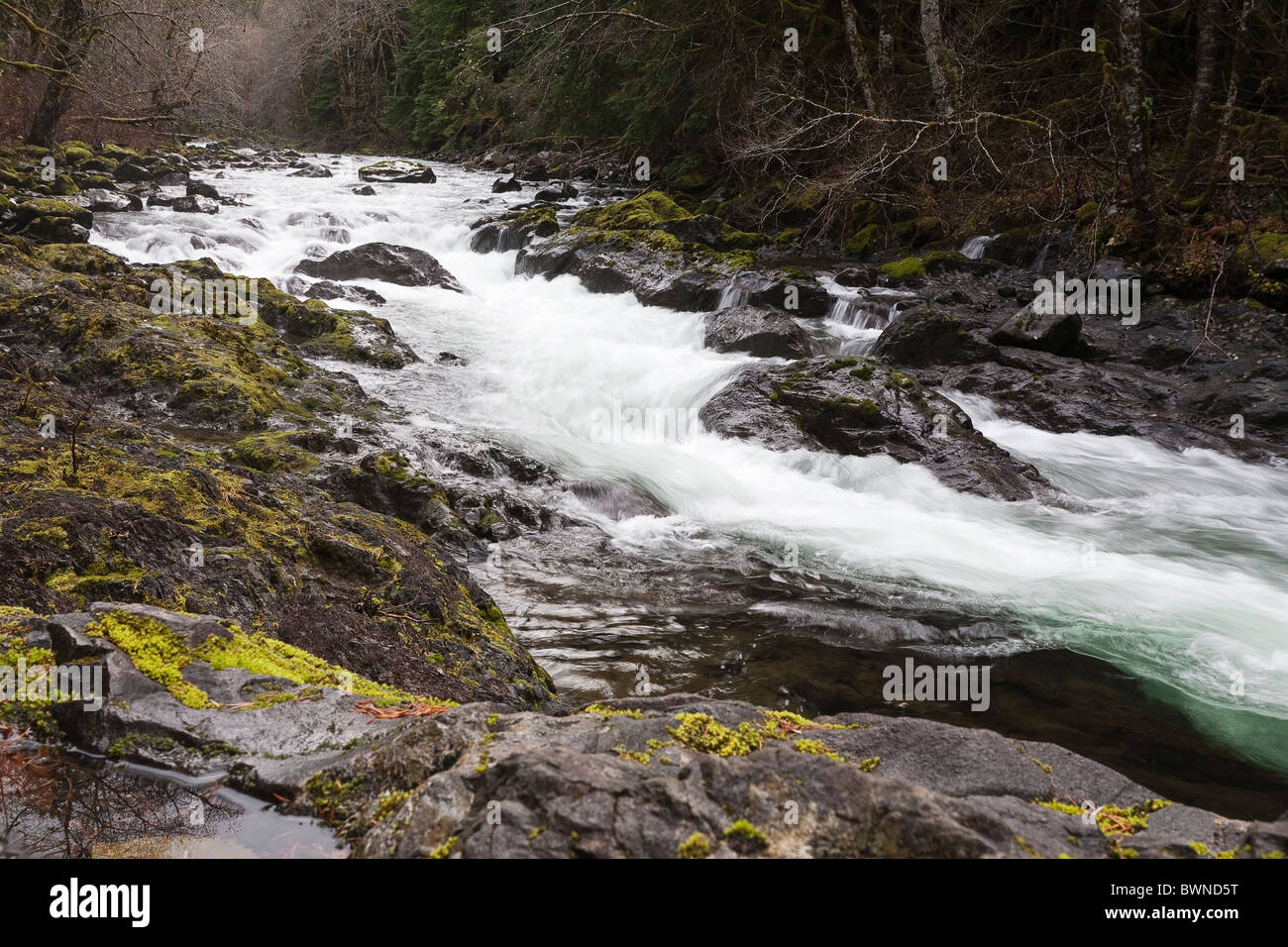 Sol Duc River Salmon Cascades, Olympic National Park - Washington Stock ...