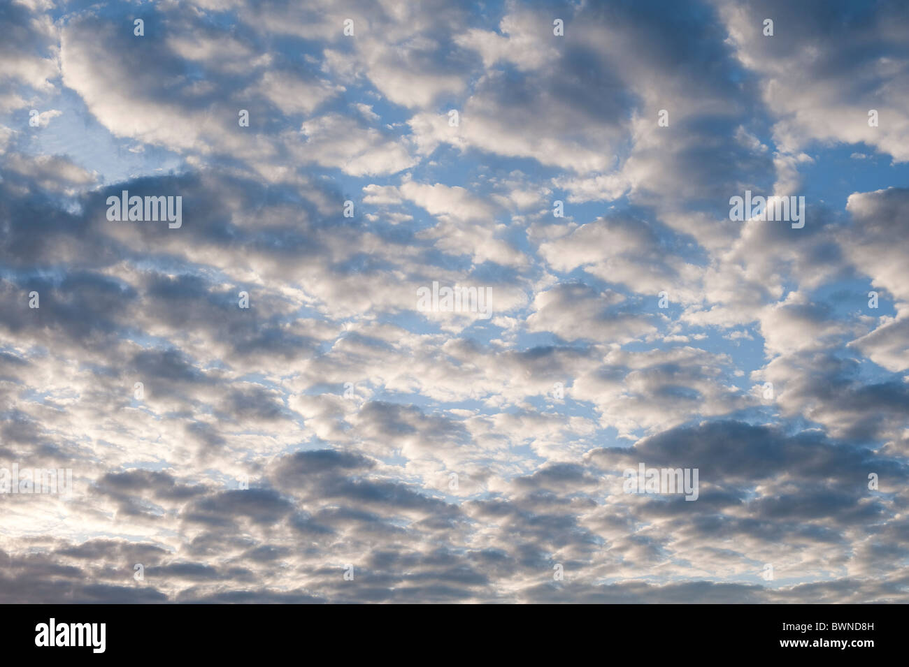 Inspirational climate hi-res stock photography and images - Alamy