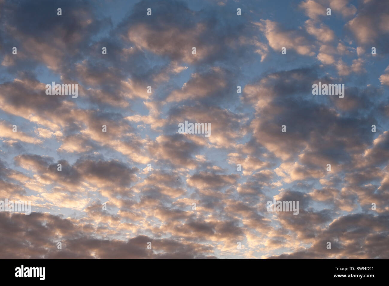 Altocumulus clouds hi-res stock photography and images - Alamy