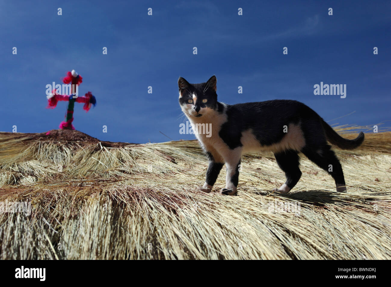 Chile South America Machuca Iglesia near San Pedro de Atacama Altiplano ...