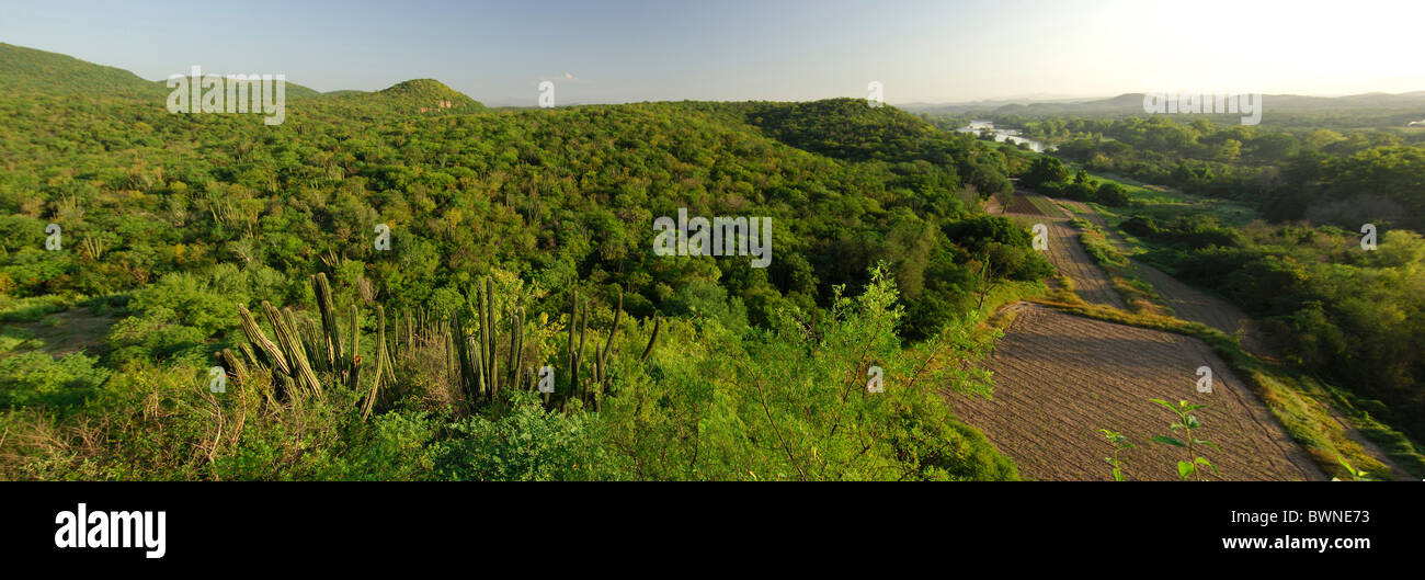 Mexico Central America America El Fuerte River El Fuerte State of ...