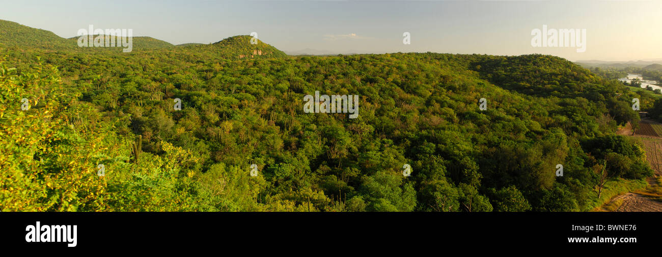 Mexico Central America America El Fuerte River El Fuerte State of ...