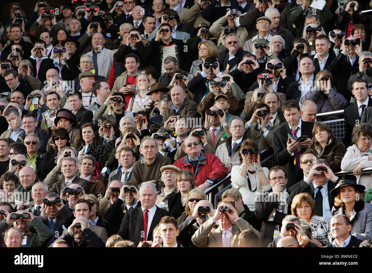 Crowds watching at cheltenham High Resolution Stock Photography and ...