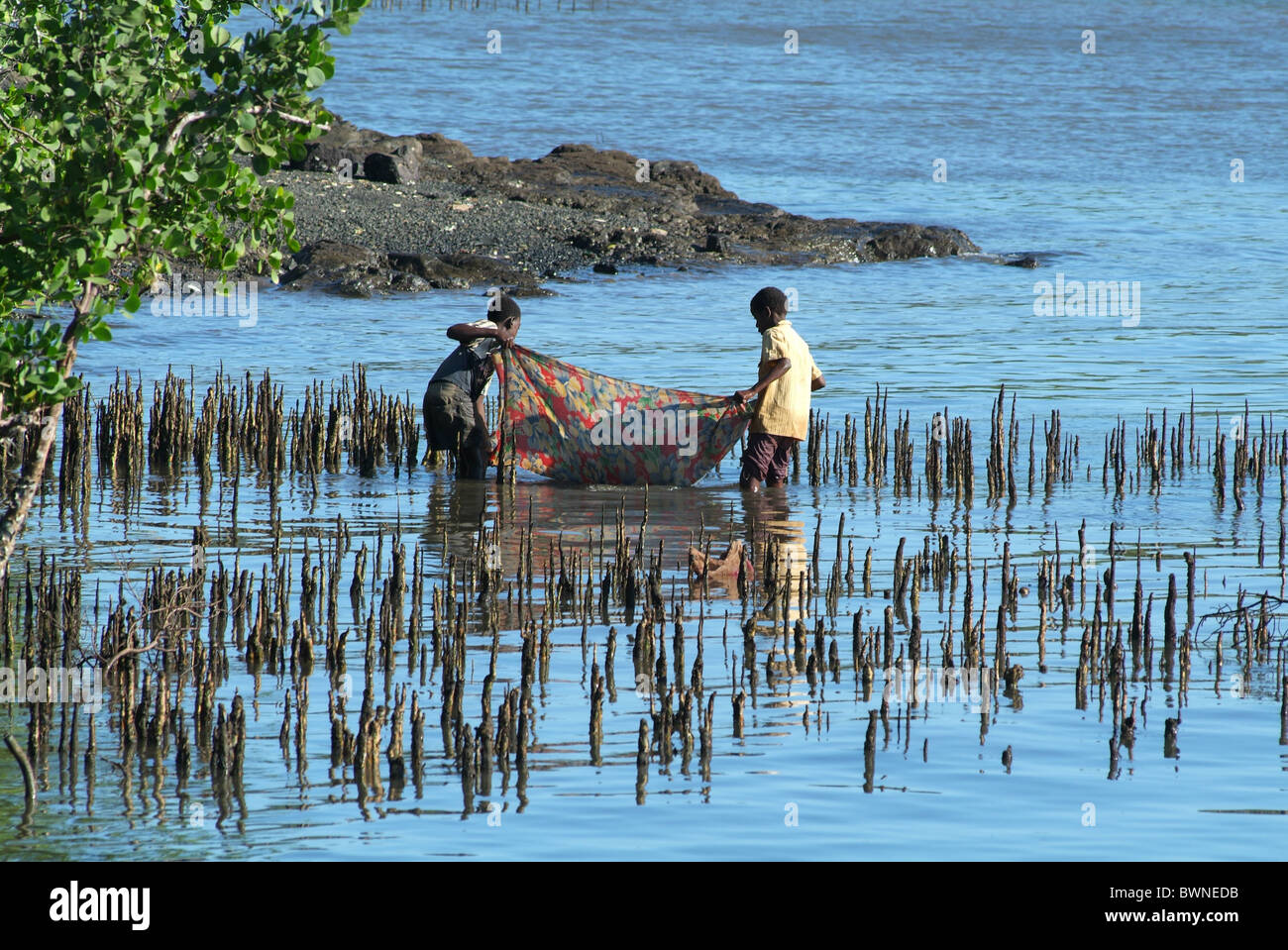 Mayotte children fishing mangroves France Europe Overseas collectivity ...