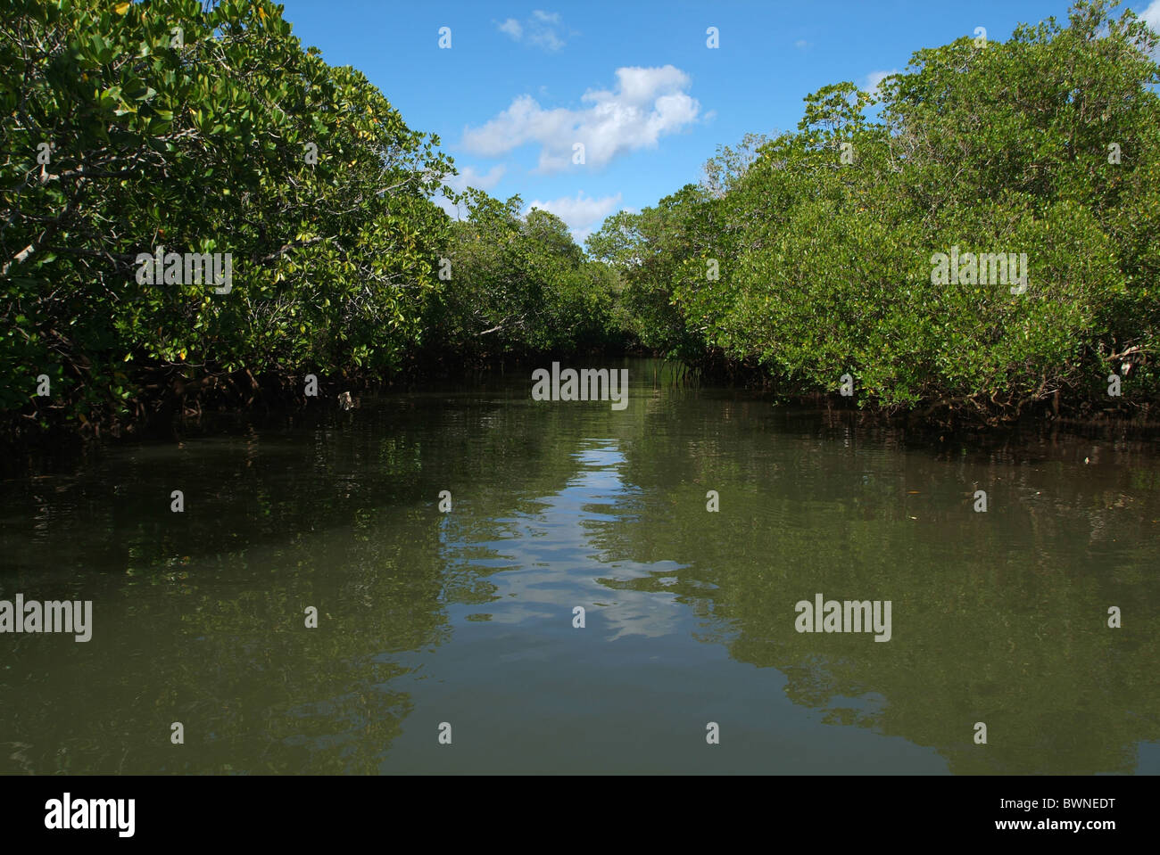 Mayotte France Europe Overseas collectivity Indian Ocean Comoros ...