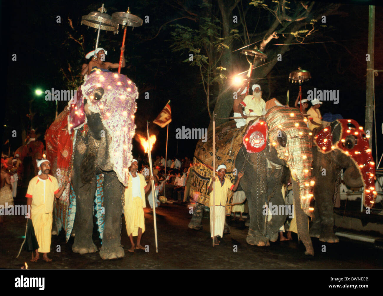 Elephants wear illuminated decorative masks and silk drapes at ...