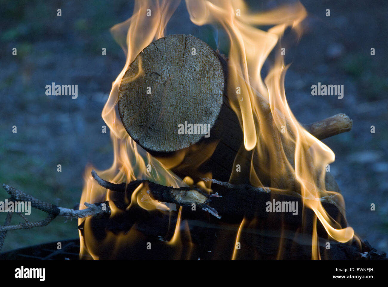 Camp fire bonfire wood burning camping camp adventure Stock Photo - Alamy
