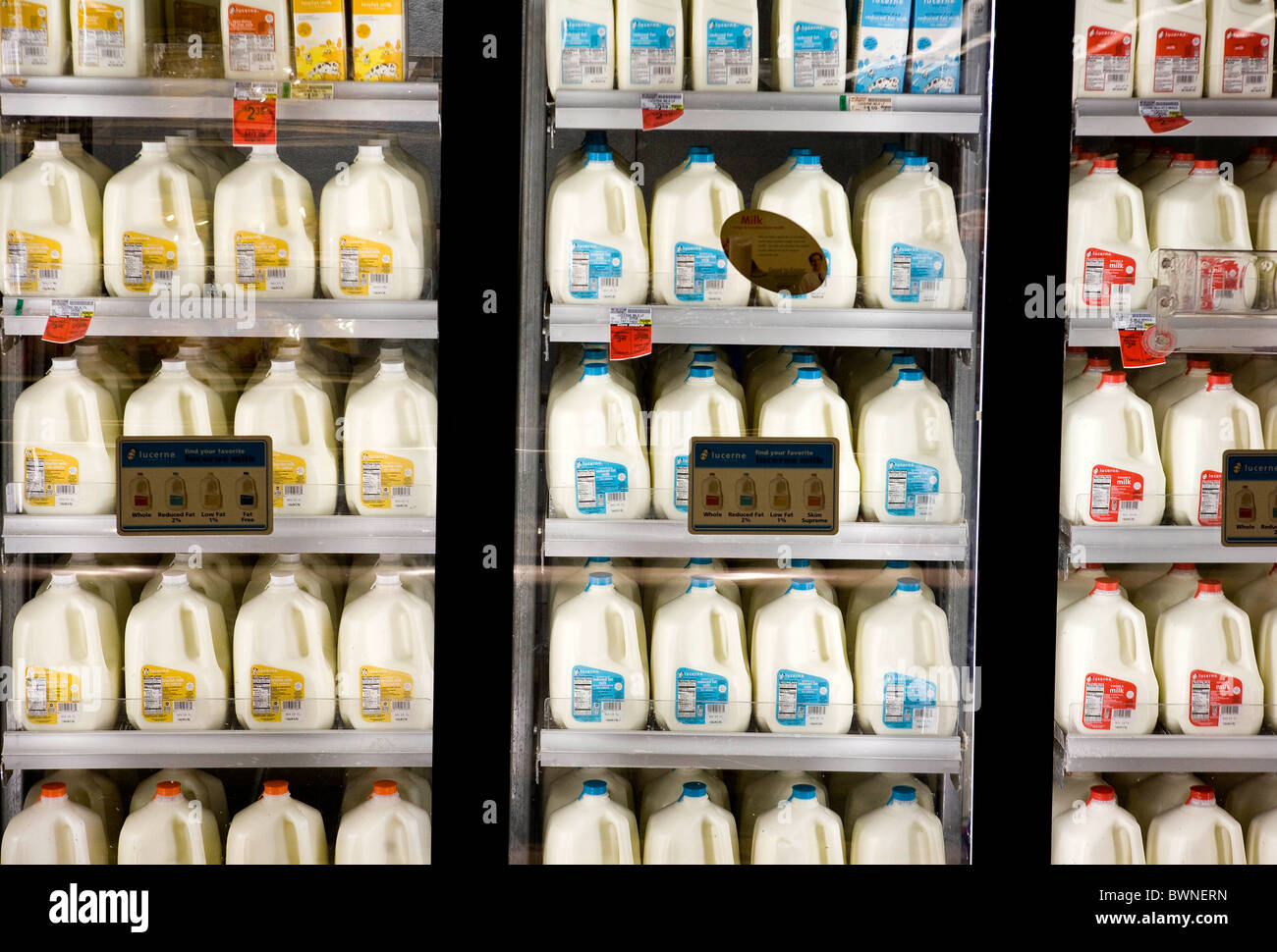 Grocery Store Milk Aisle at Pauline Tomlinson blog