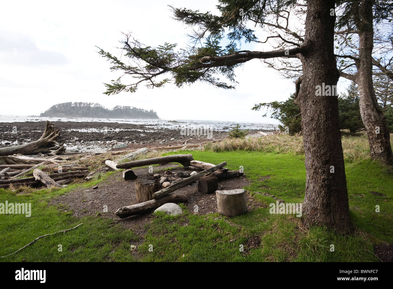 Campsite at Cape Alava along the Ozette Loop - Olympic National Park ...