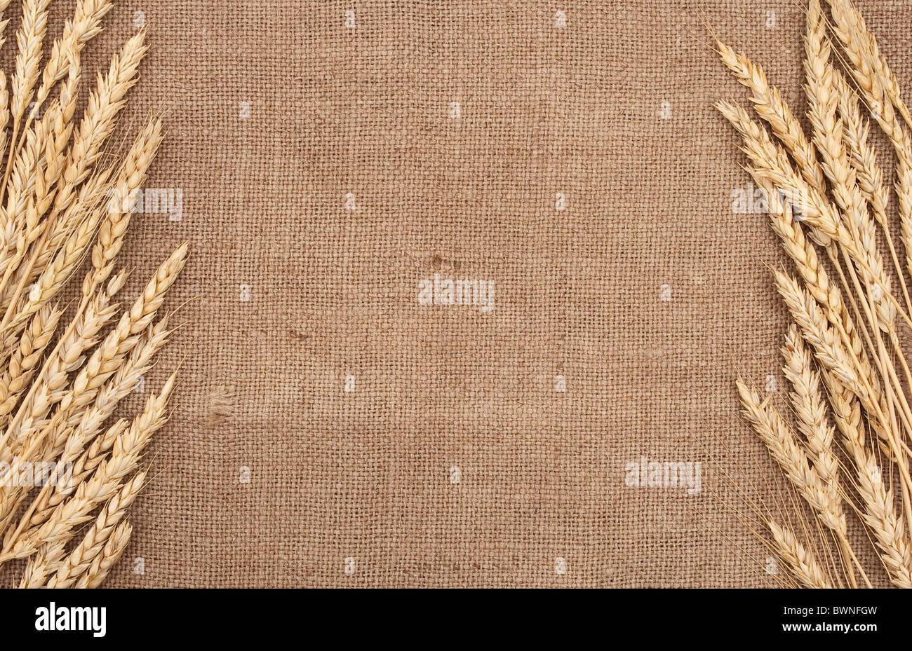 Wheat ears border on burlap background Stock Photo - Alamy