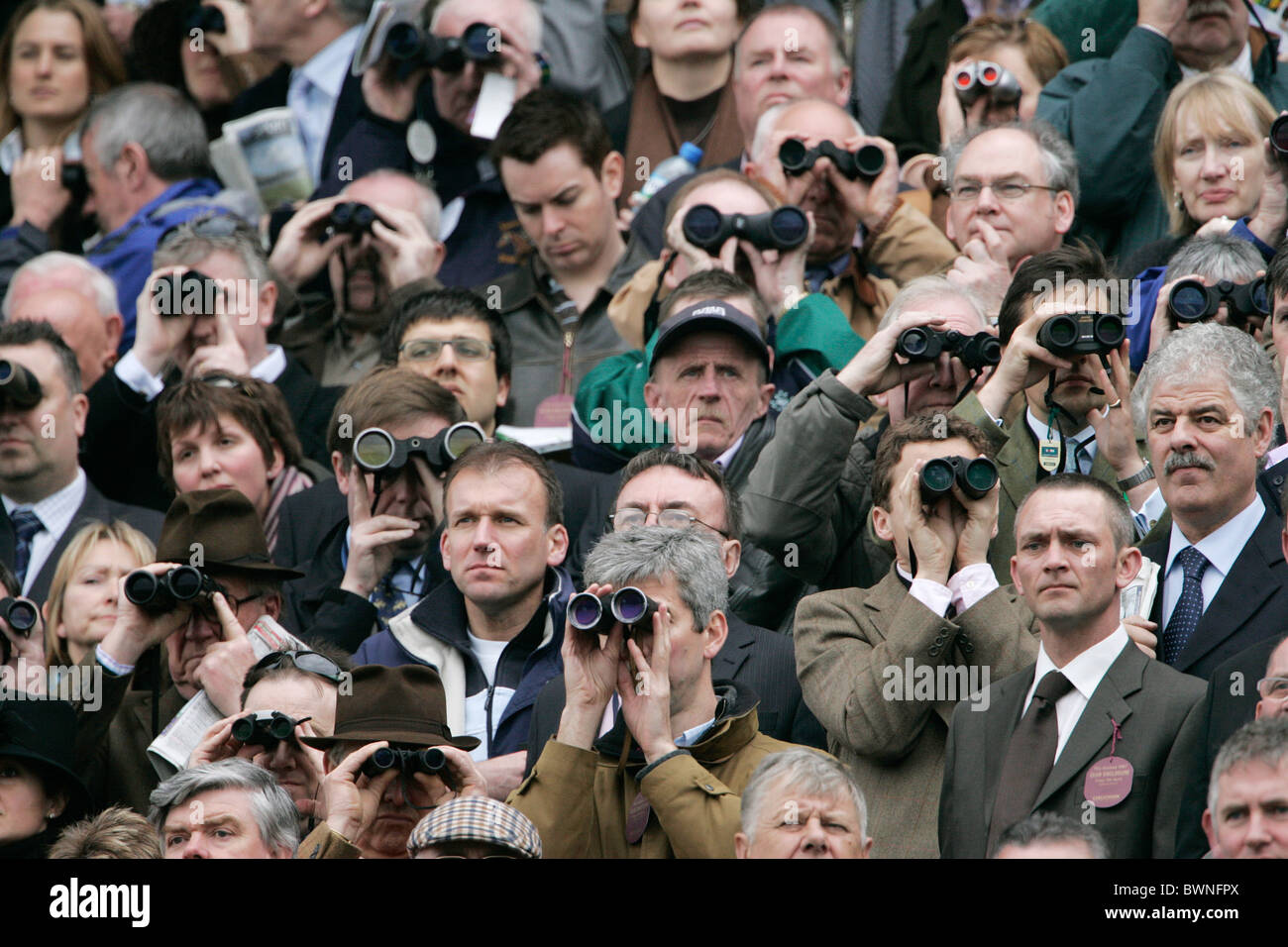Horse racing spectator cheltenham hi-res stock photography and images ...
