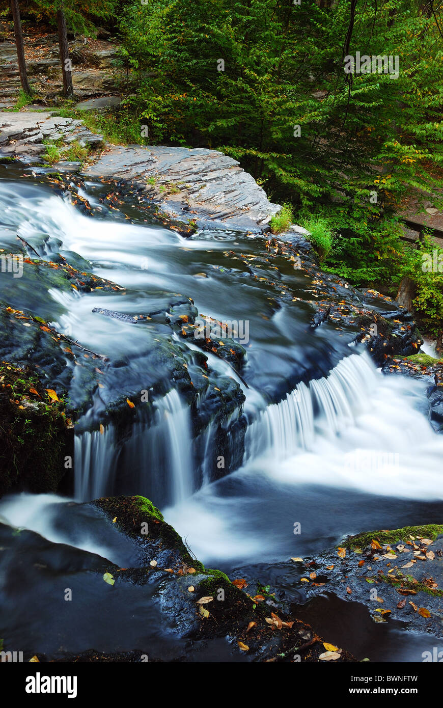 Creek in woods with rocks and foliage Stock Photo - Alamy