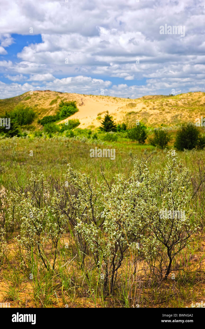 Landscape of Spirit Sands dunes in Spruce Woods Provincial Park ...