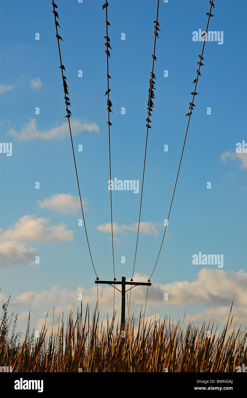 Lines of communication Stock Photo - Alamy