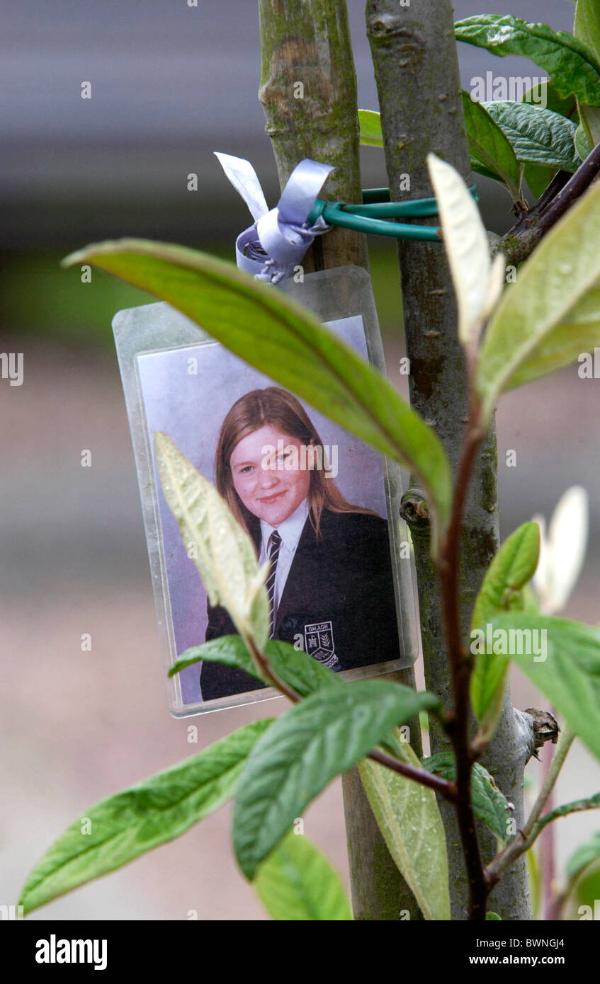Lorraine wilson memorial garden photograph northern ireland hi-res ...