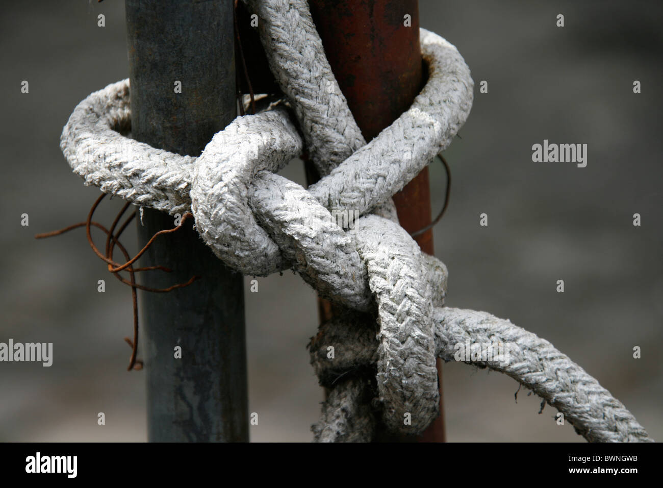 close up of rope with knot tied to pole Stock Photo - Alamy