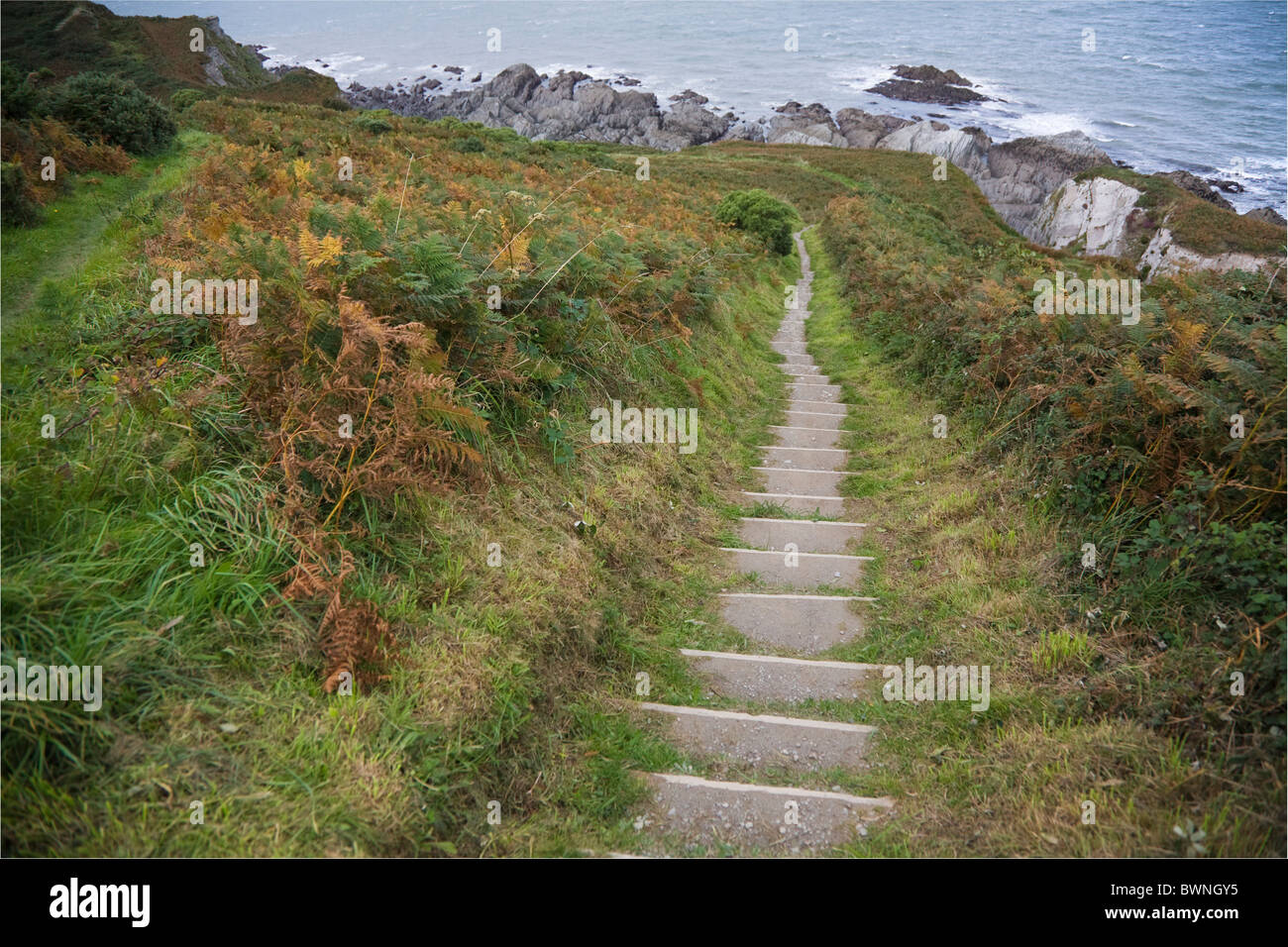Staircase on coastal path, Devon Stock Photo - Alamy