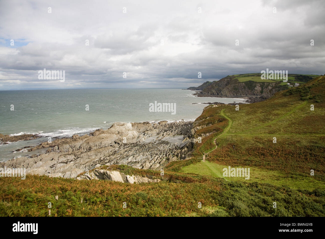 Lee bay devon people hi-res stock photography and images - Alamy