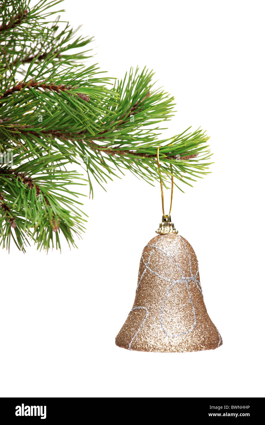 Gold bell hanging on a green Christmas tree branch Stock Photo - Alamy