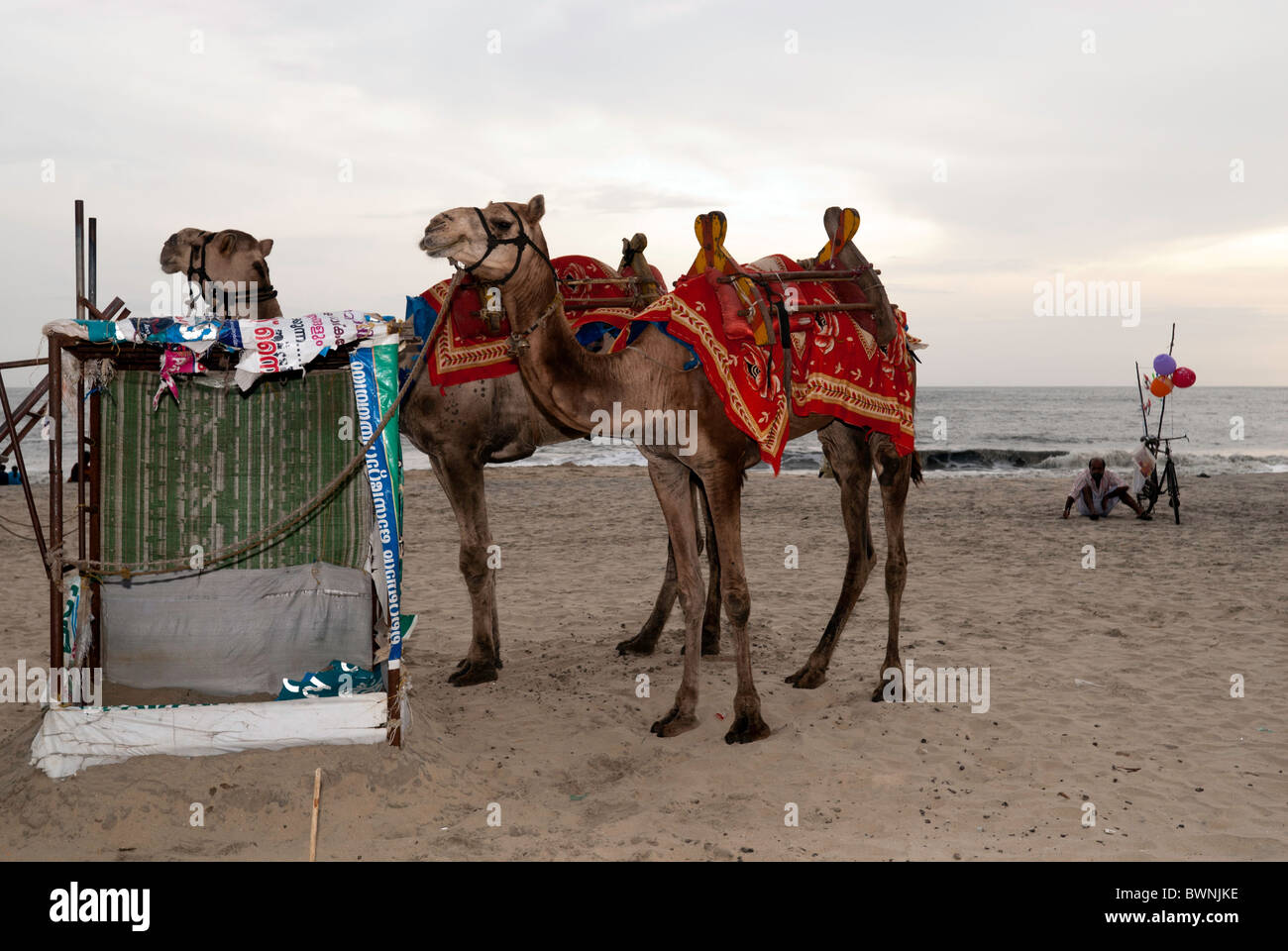 Alleppey beach, kerala hi-res stock photography and images - Alamy