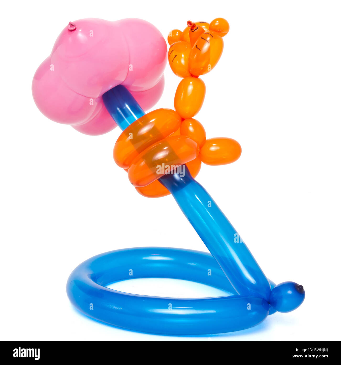 Balloon Twisting White Background