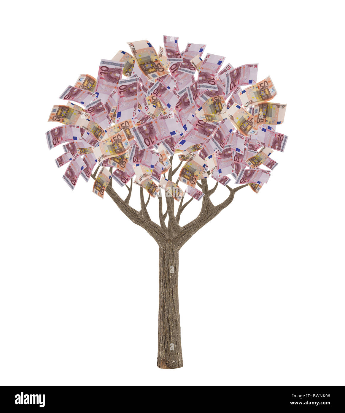 Euro tree hi-res stock photography and images - Alamy