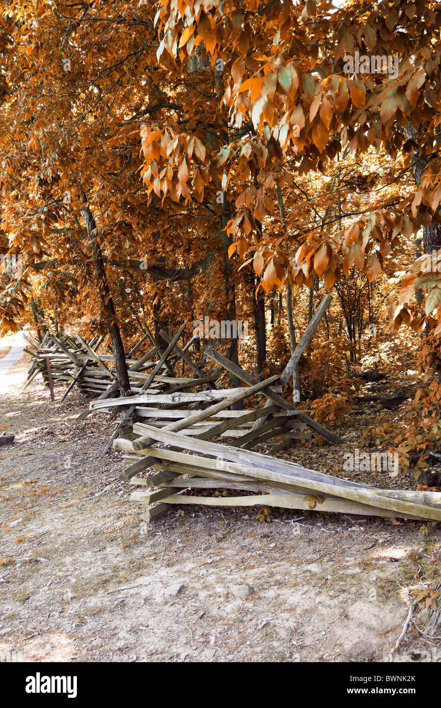 Pitzer woods hi-res stock photography and images - Alamy