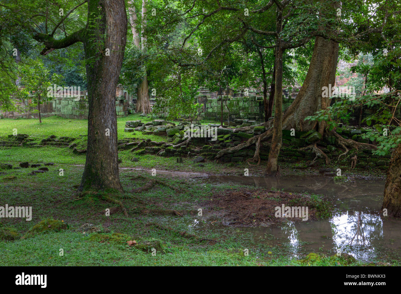 Preah Pithu T. Ruins at archaeological site. Angkor Thom, UNESCO World ...