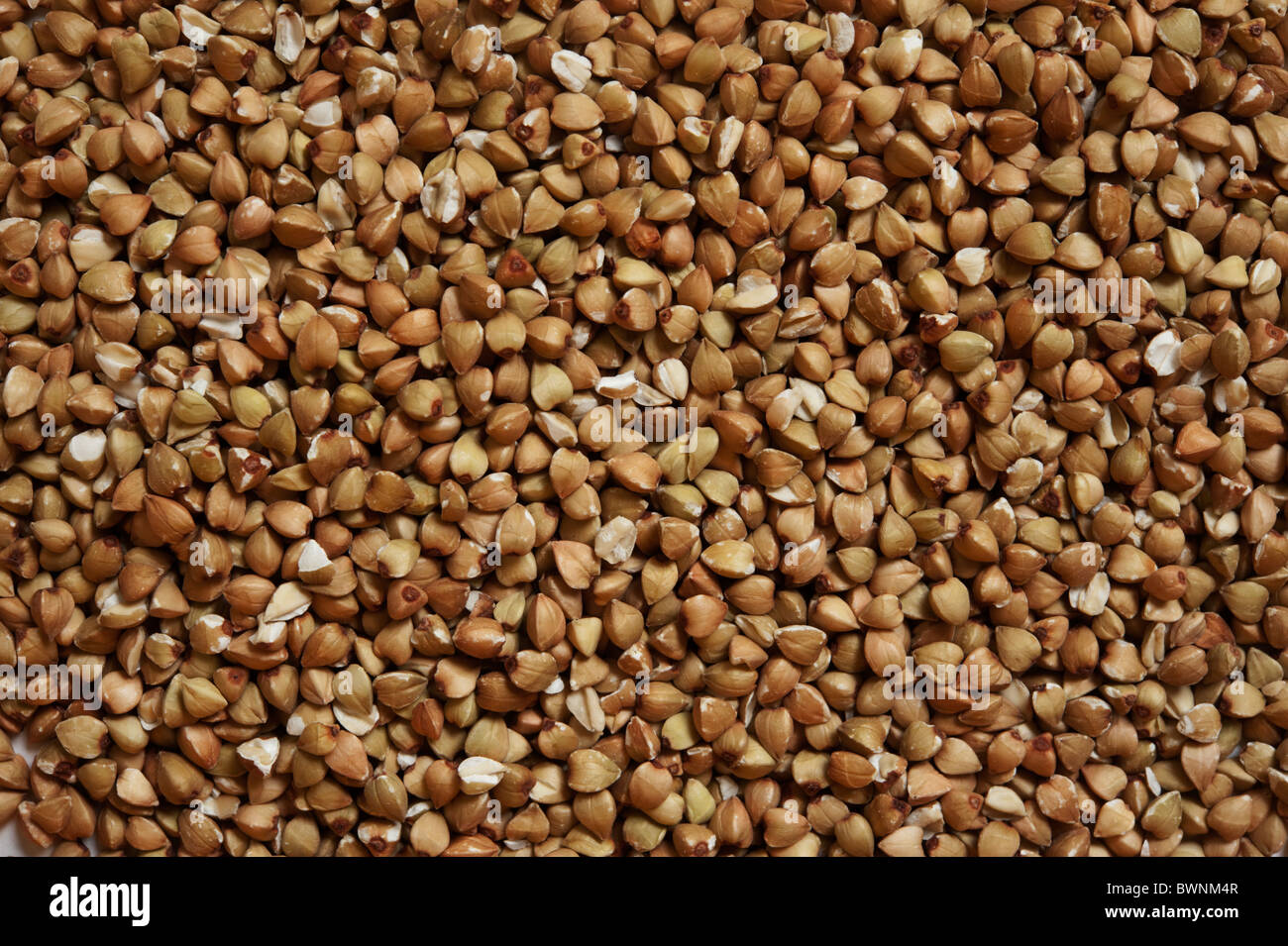 Buckwheat Grains High Resolution Stock Photography and Images - Alamy