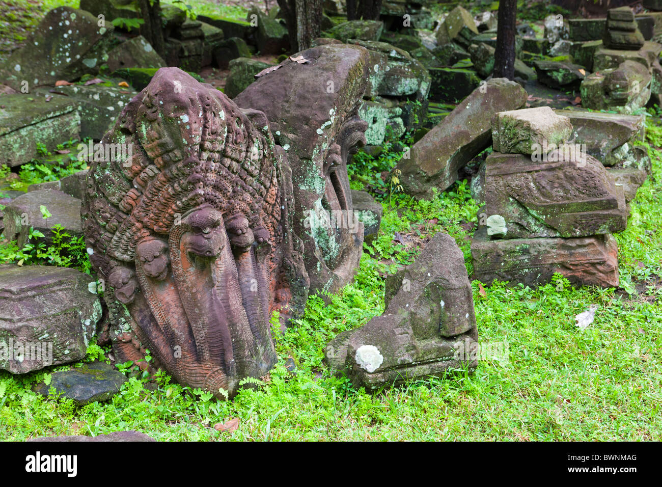 Preah Pithu V. Ruins at archaeological site. Angkor Thom, UNESCO World ...