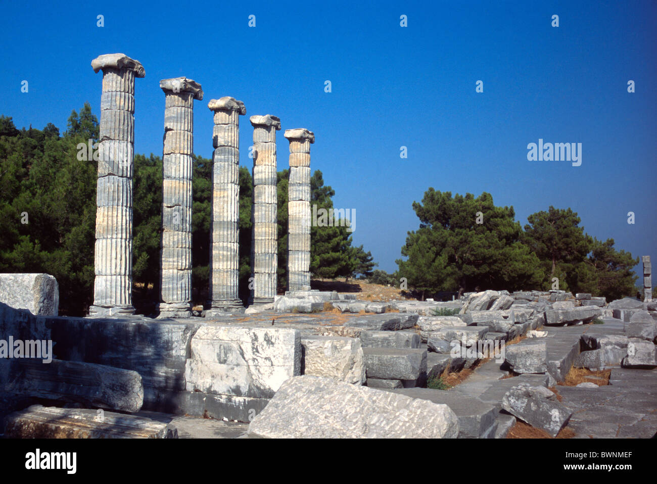 Temple of Athena Doric Columns Priene Soke Turkey Asia Minor Stock ...