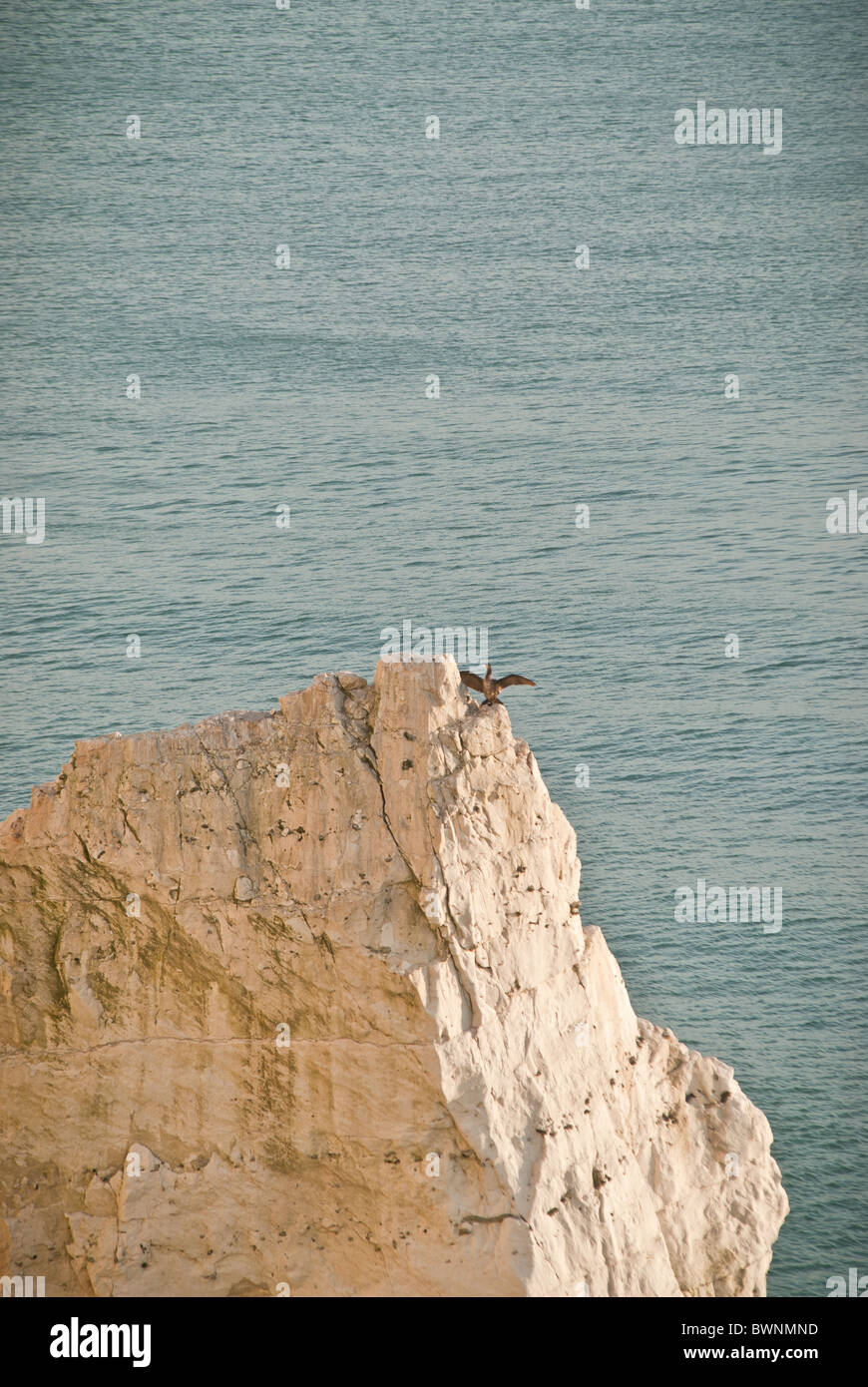 cliff edge by sea Stock Photo - Alamy