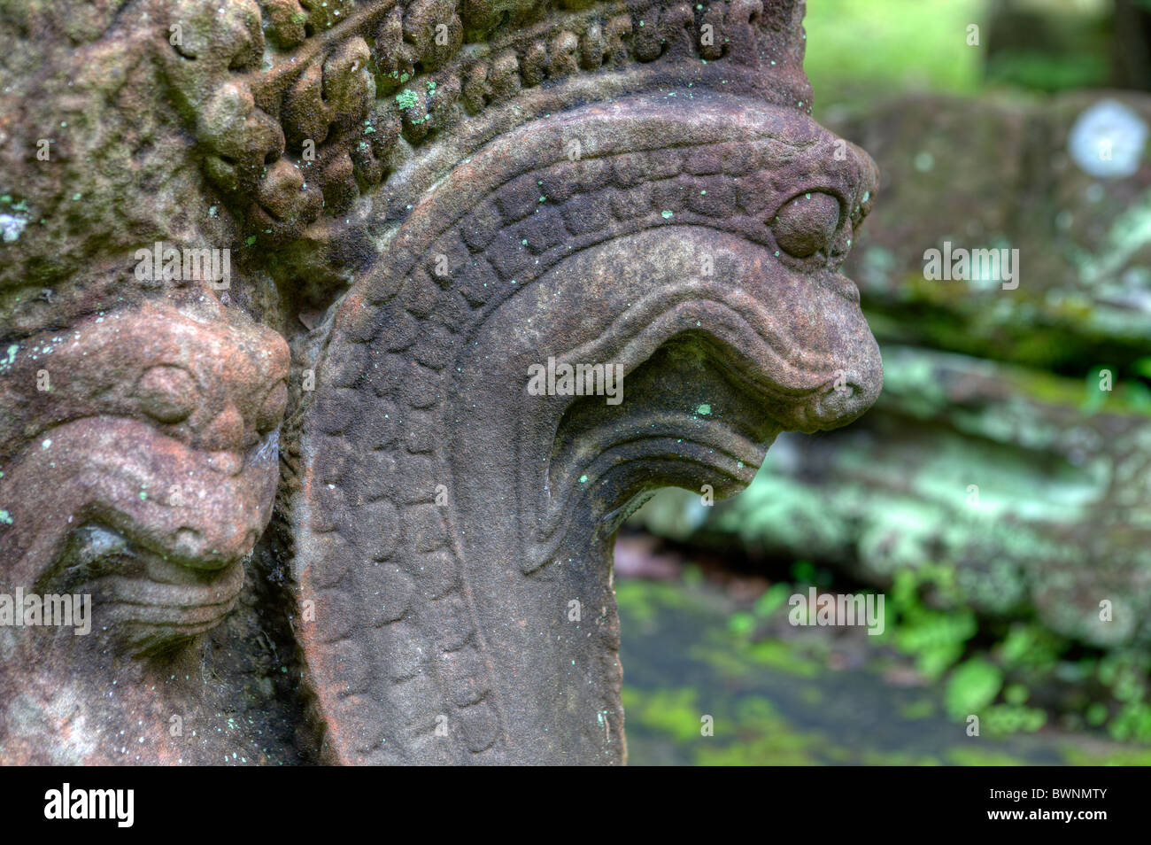 Preah Pithu V. Ruins at archaeological site. Angkor Thom, UNESCO World ...
