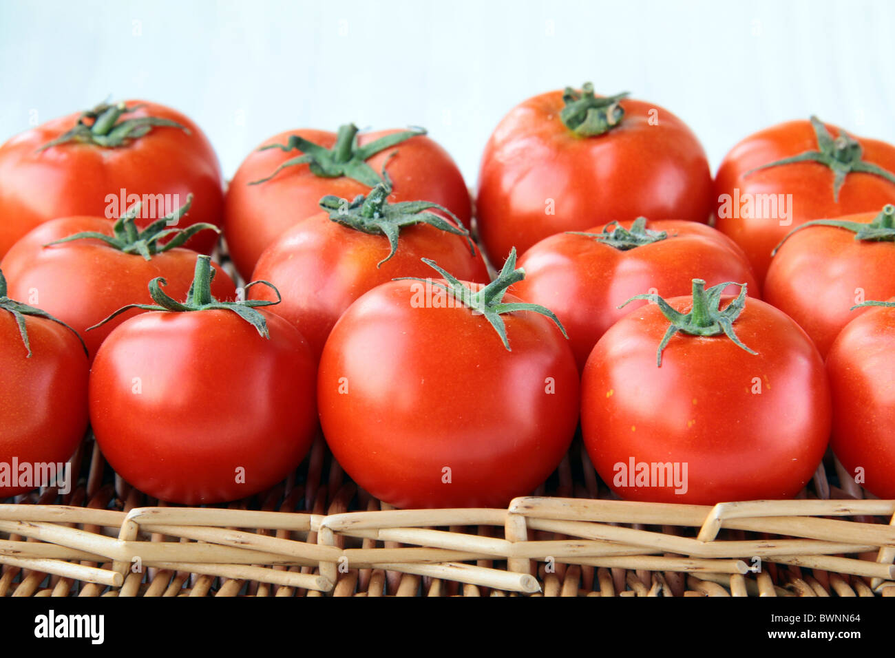 Lots of tomato hi-res stock photography and images - Alamy