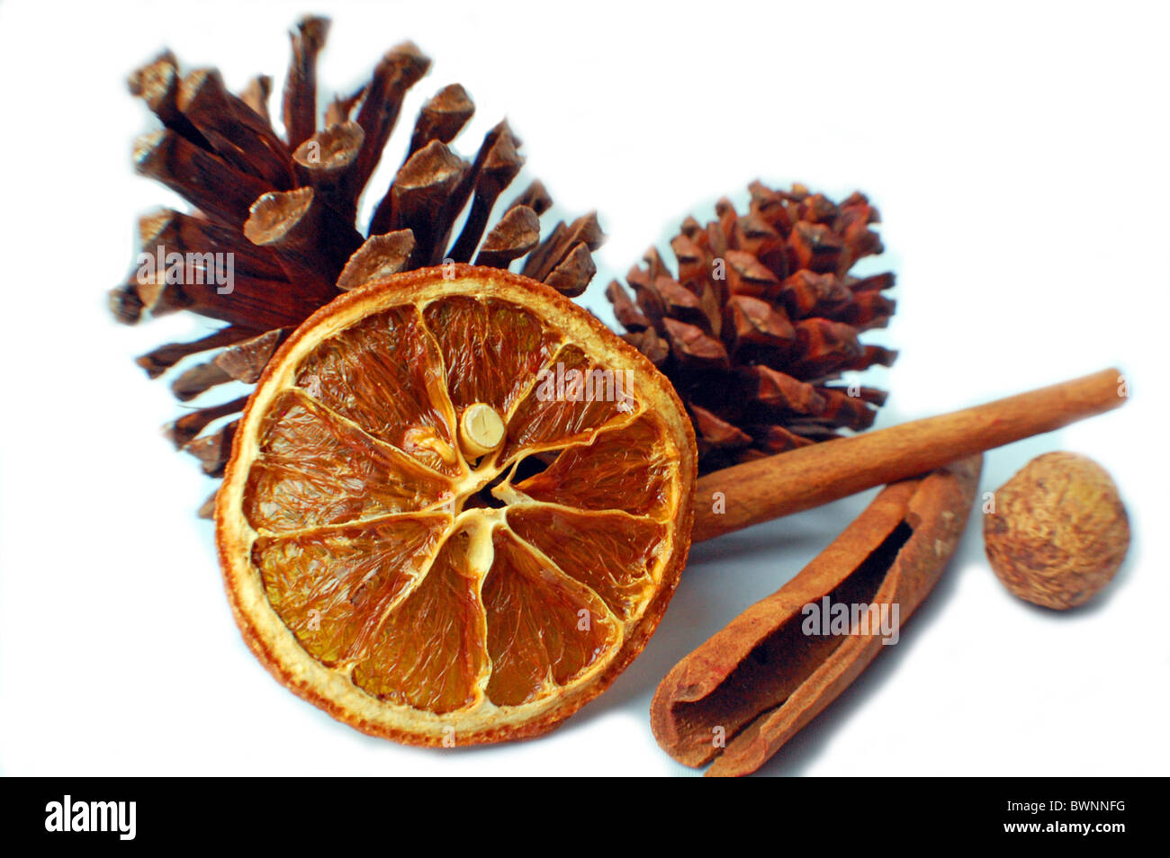 orange pine still life objects Stock Photo - Alamy