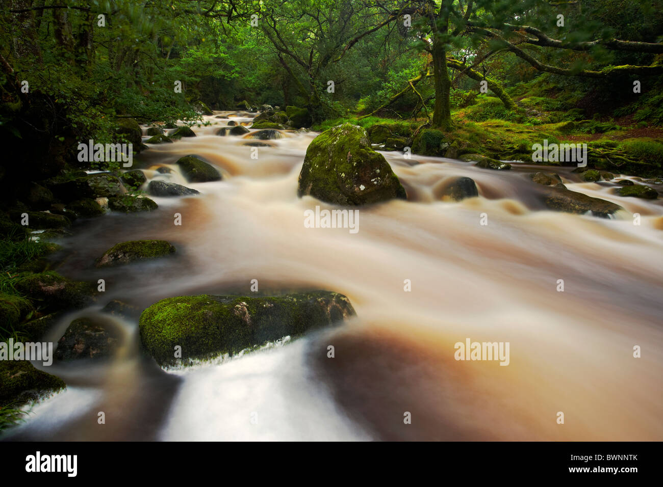 The river Plym in full flow at Shaugh Prior Dartmoor Devon UK Stock ...