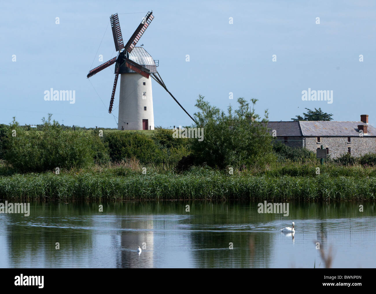 Skerries five sailed windmill with swans in foreground Stock Photo - Alamy
