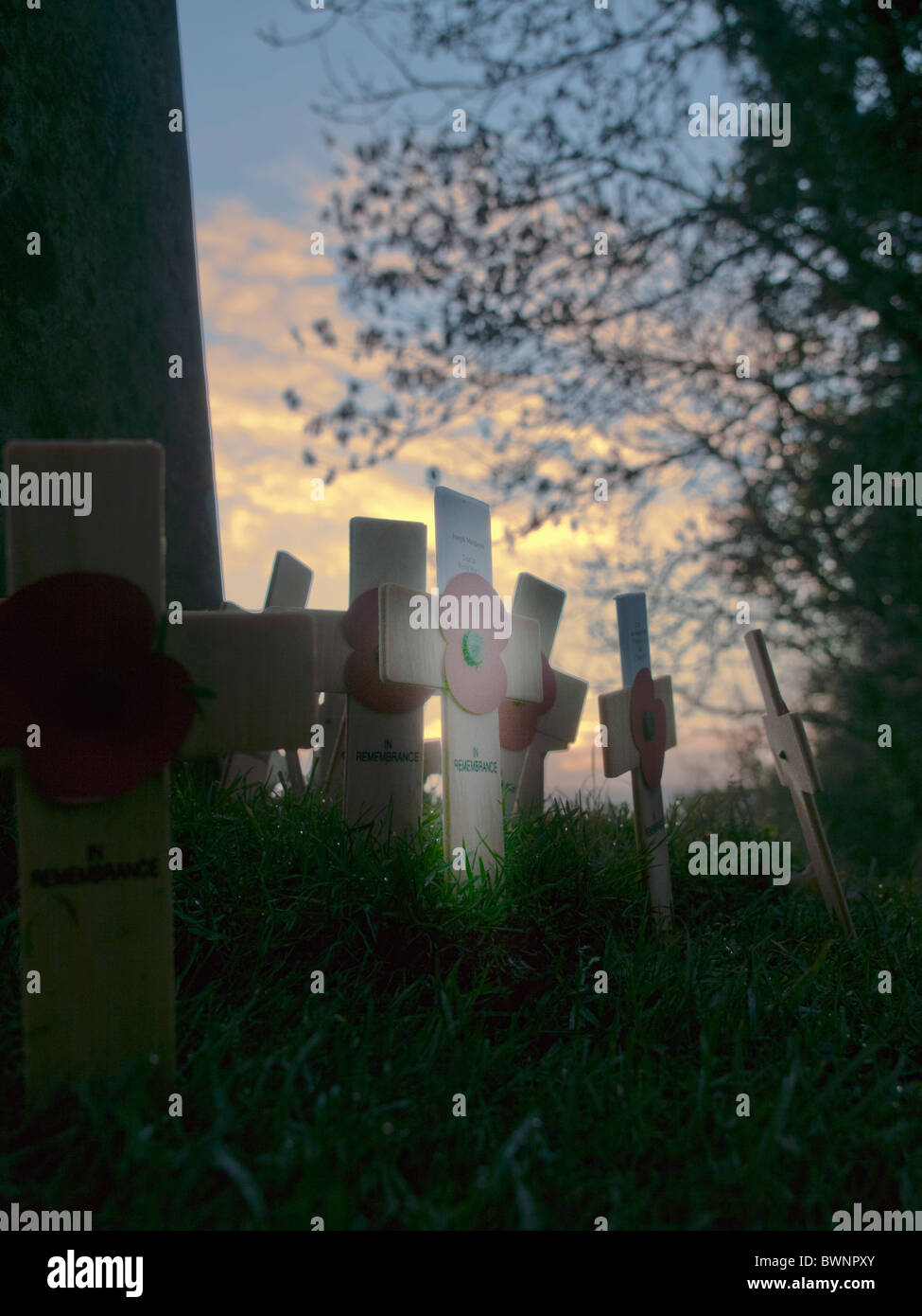 a remembrance sunday memorial Stock Photo - Alamy