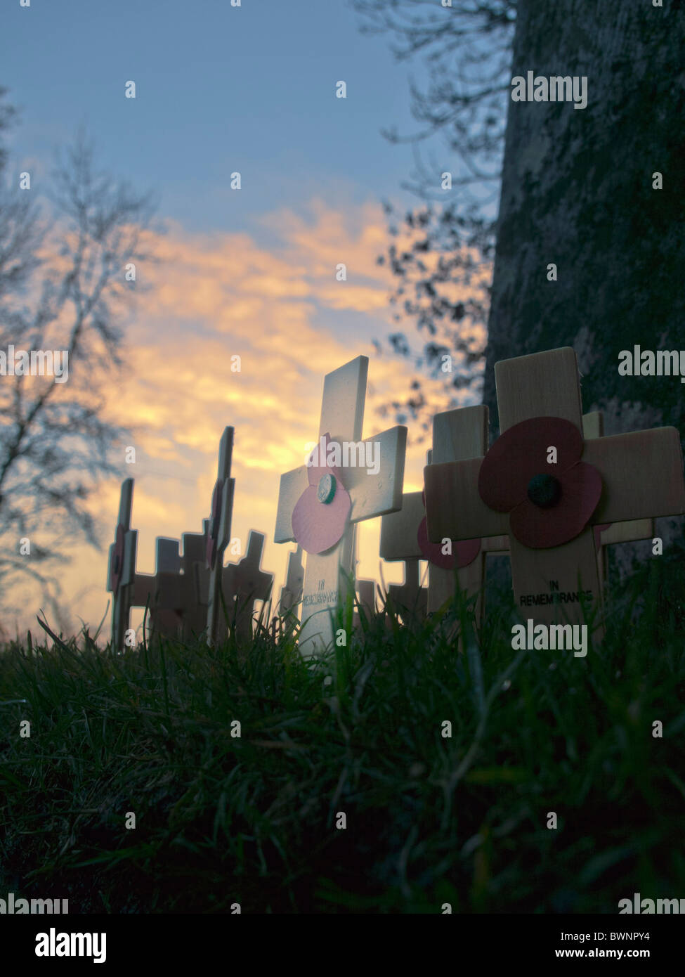 a remembrance sunday memorial Stock Photo - Alamy