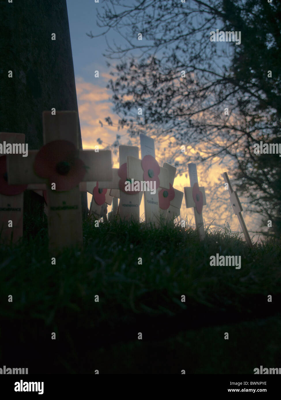 a remembrance sunday memorial Stock Photo - Alamy
