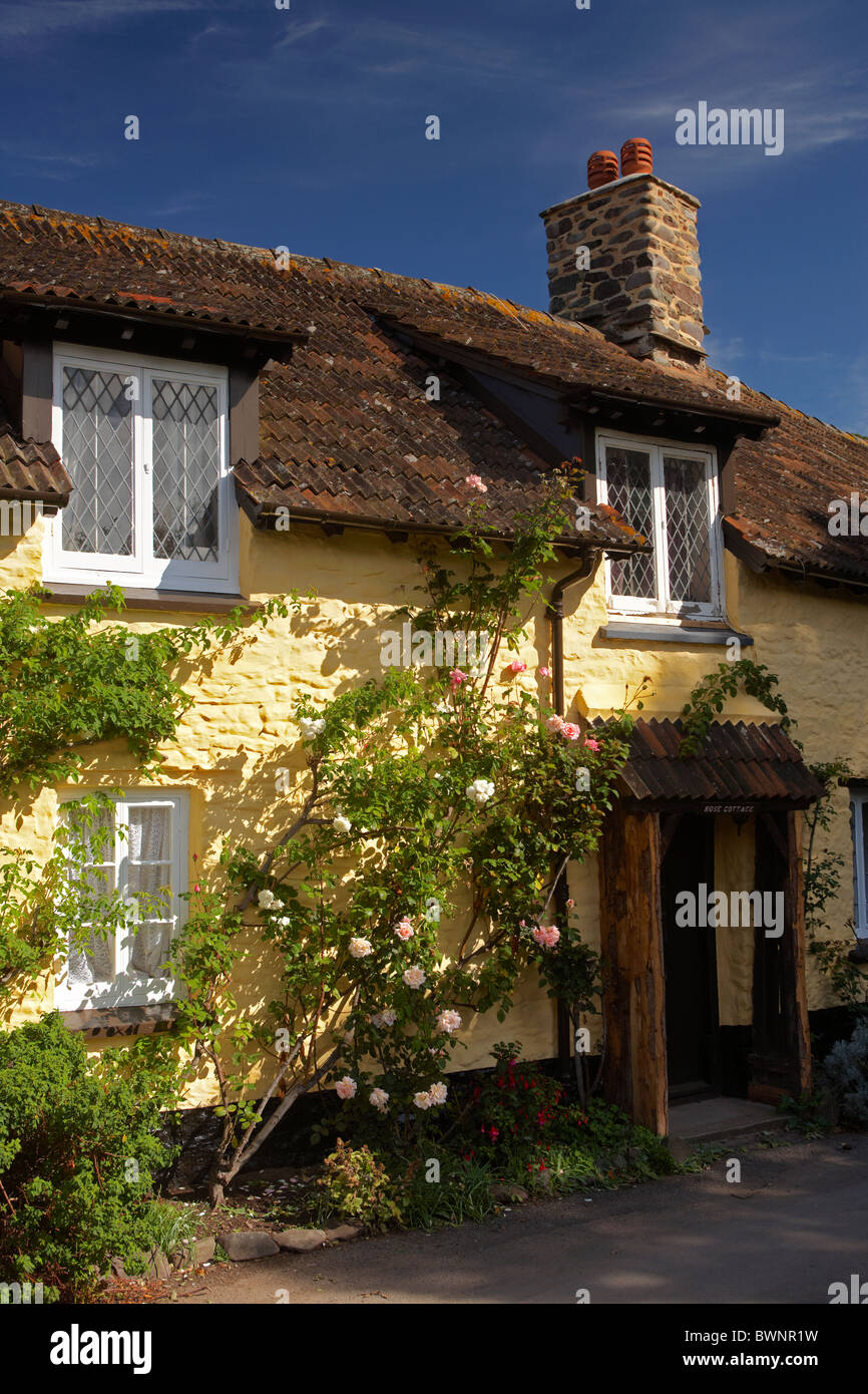 Rose covered cottage in the traditional village of Bossington on Exmoor ...