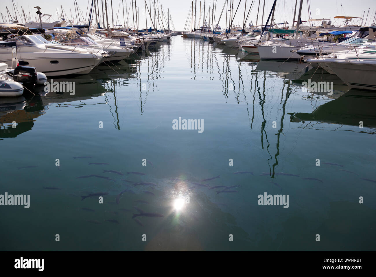 Boats in mandelieu la hi-res stock photography and images - Alamy