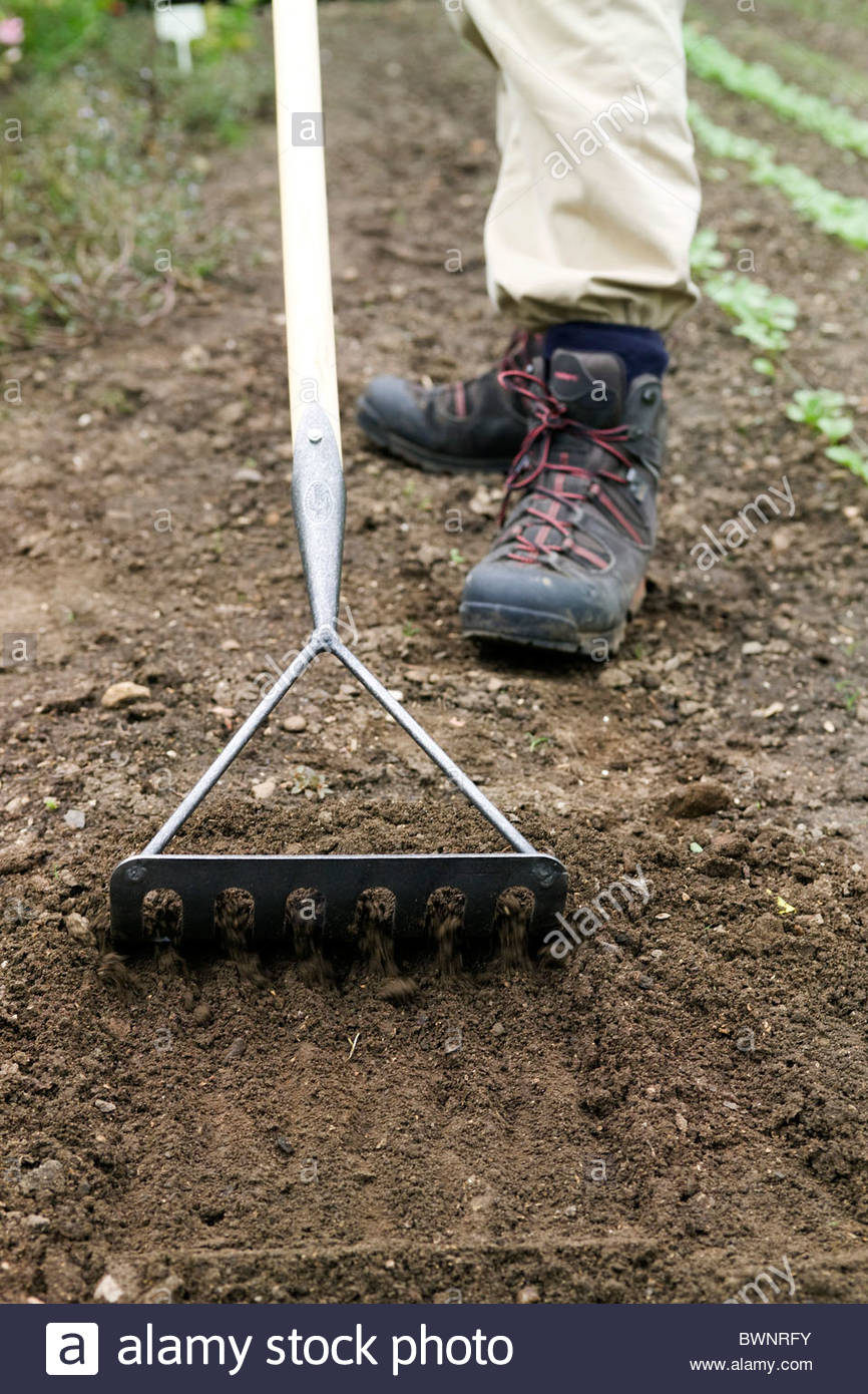 Sprake Stock Photos & Sprake Stock Images - Alamy