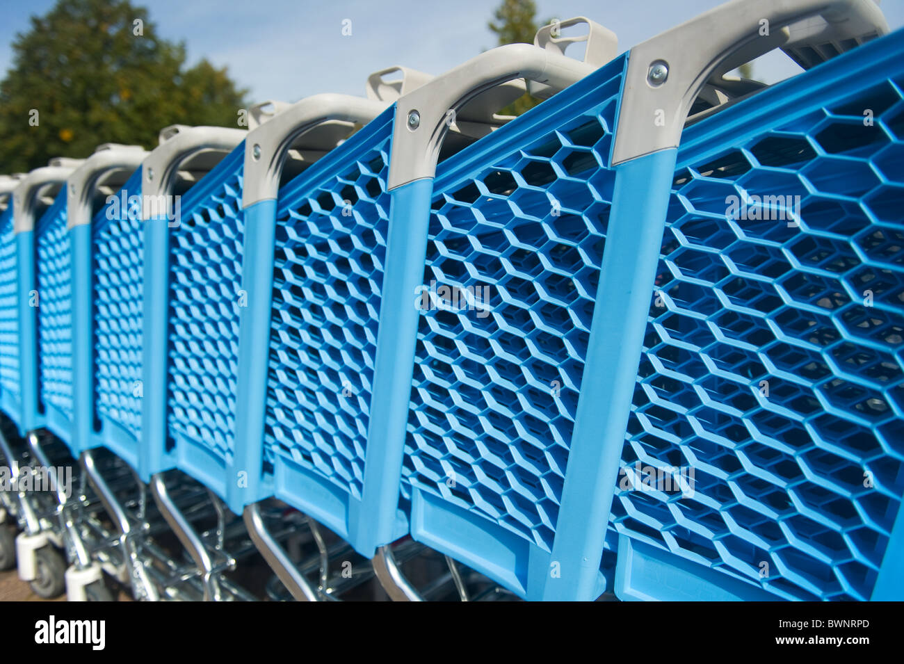 Row with blue shopping carts outdoor in the sun Stock Photo - Alamy