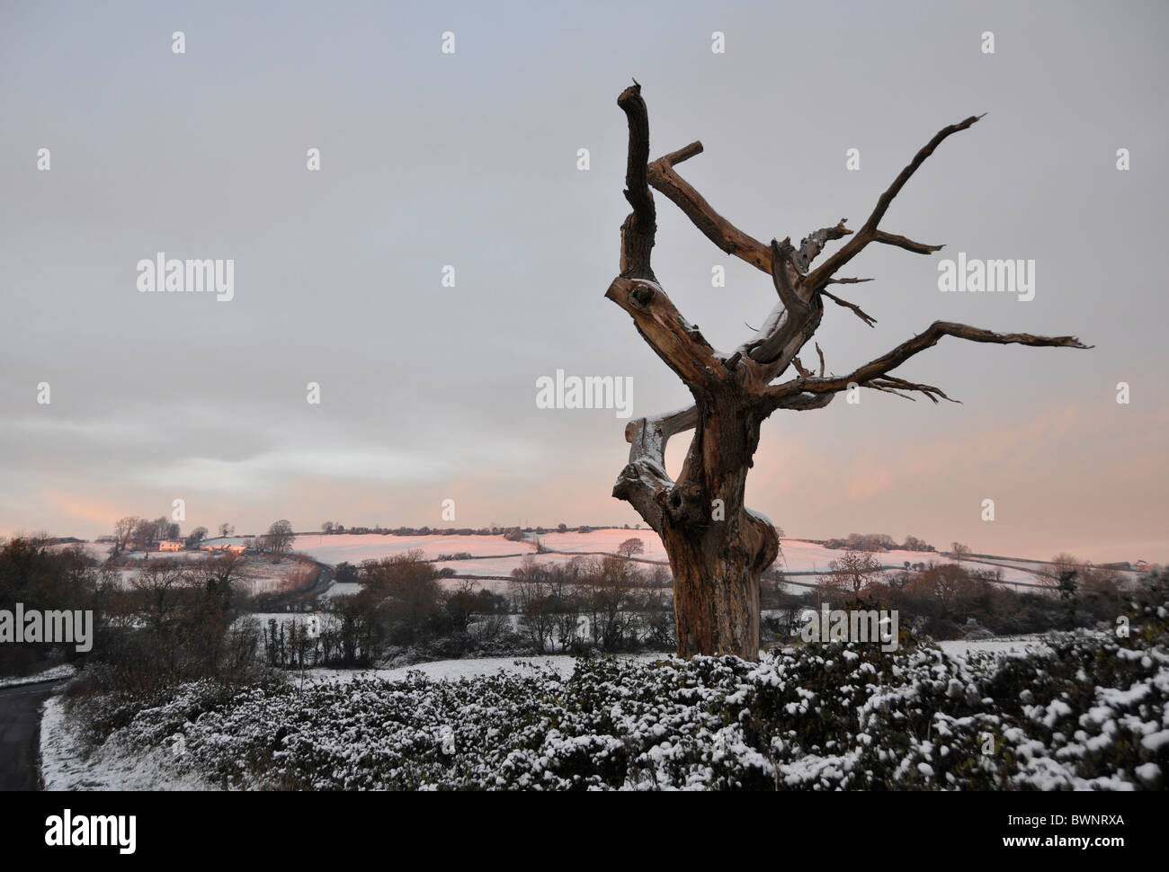 All alone on a cold night near Bristol Stock Photo - Alamy