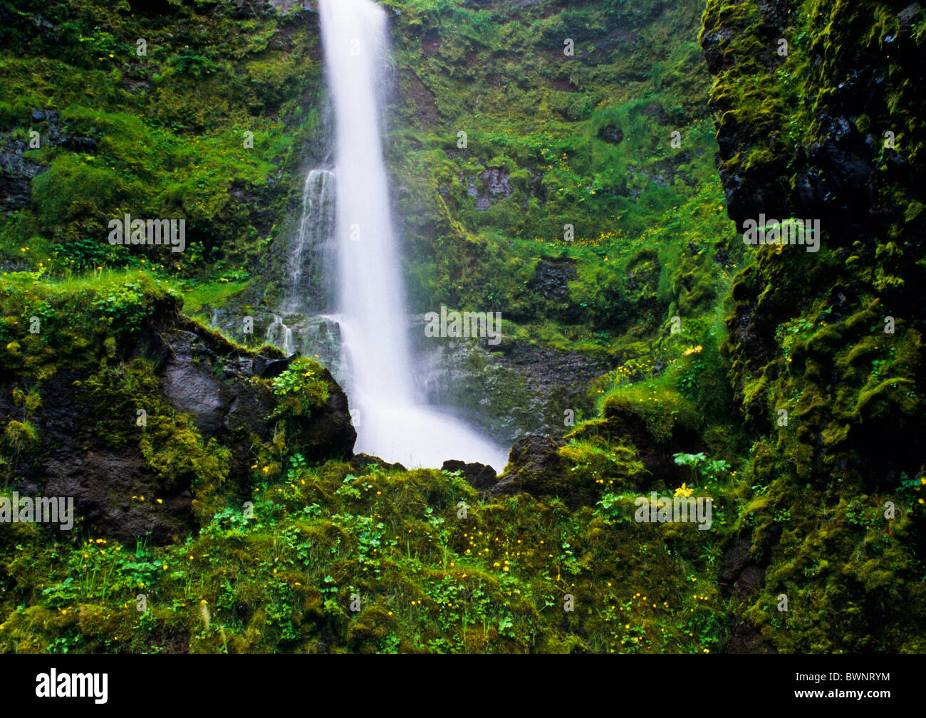 Fantasy Iceland waterfalls cove close up among ground moss covered lava ...