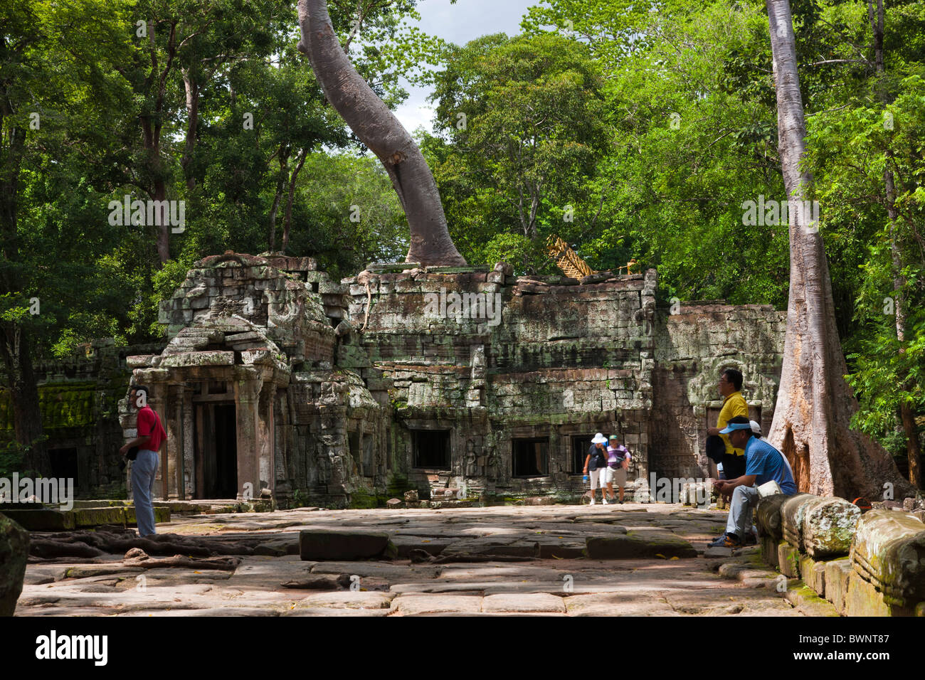 Ruins at archaeological site, Ta Prohm temple, Angkor, UNESCO World ...